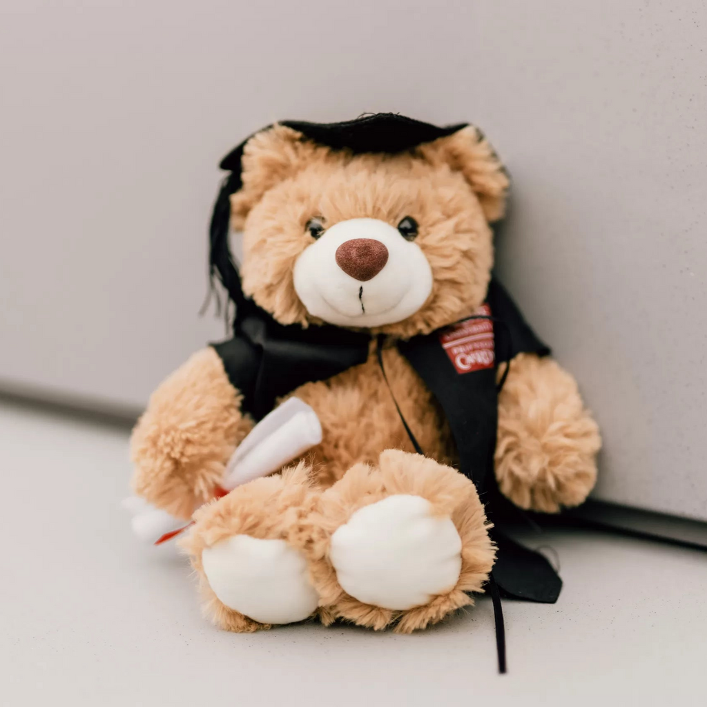 Bear - Graduation – Love Cardiff
