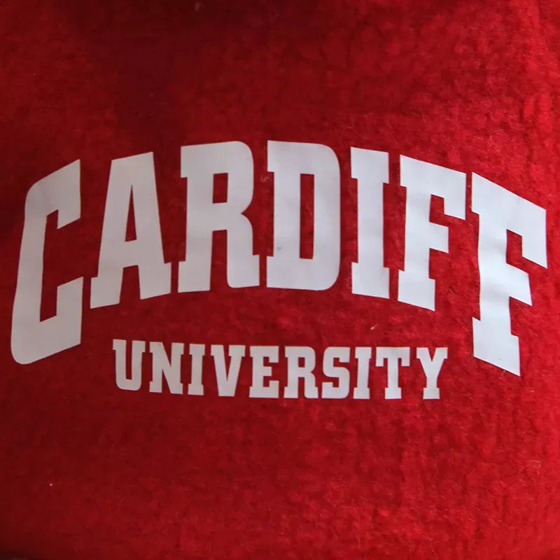Teddy - CU Hood – Love Cardiff Teddy - CU Hood – Love Cardiff