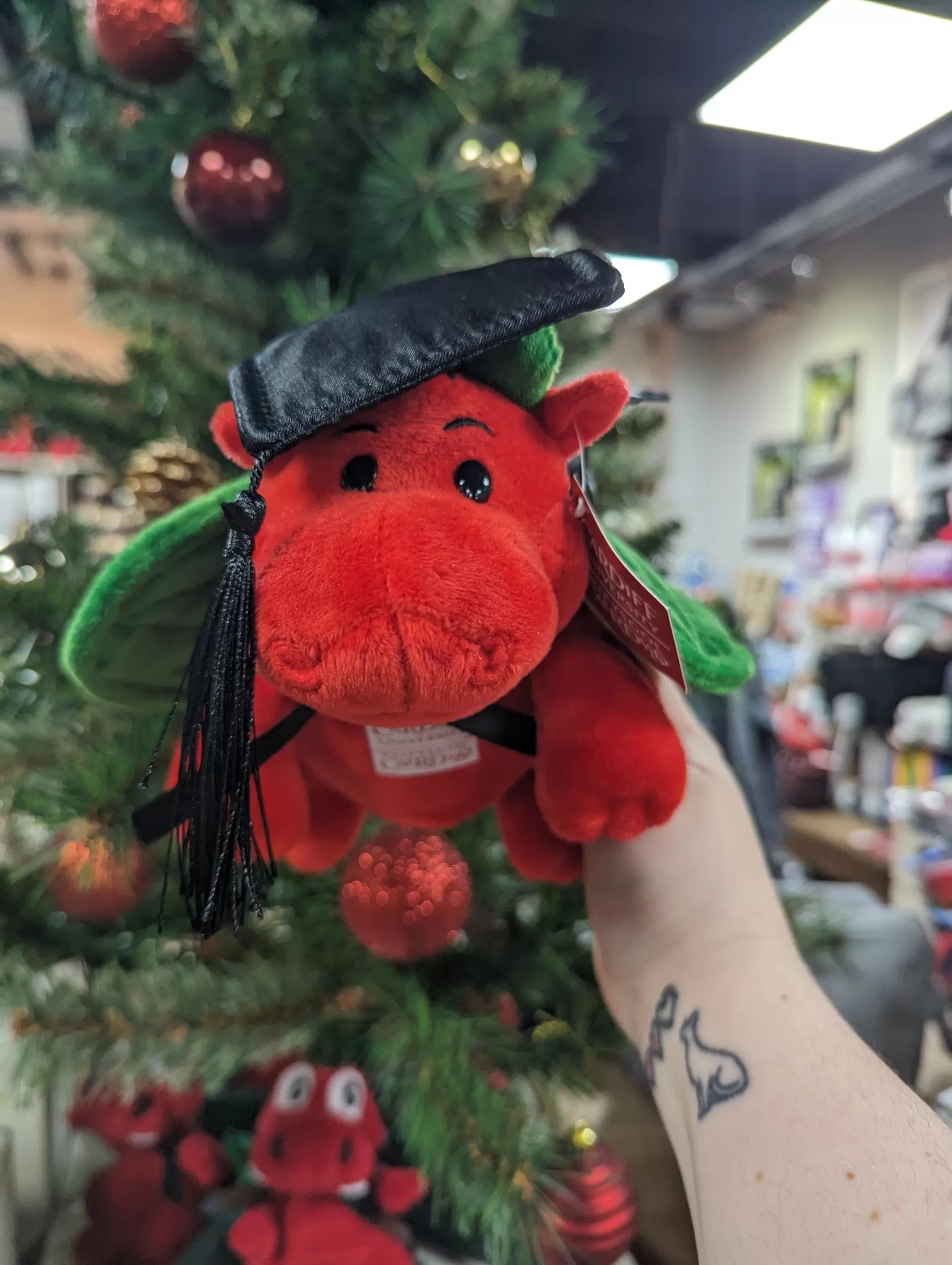 Dragon - Graduation – Love Cardiff