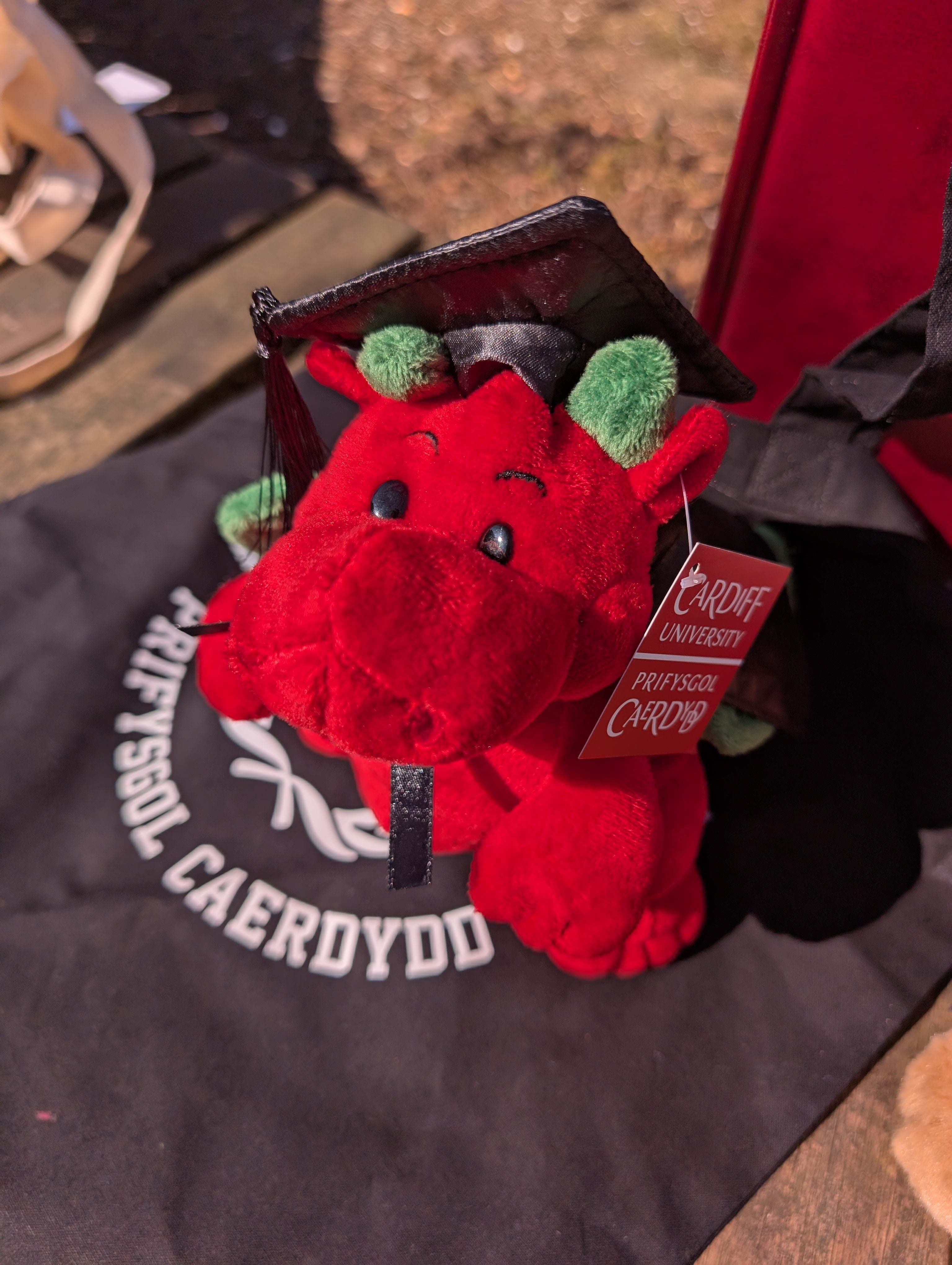 Dragon - Graduation – Love Cardiff
